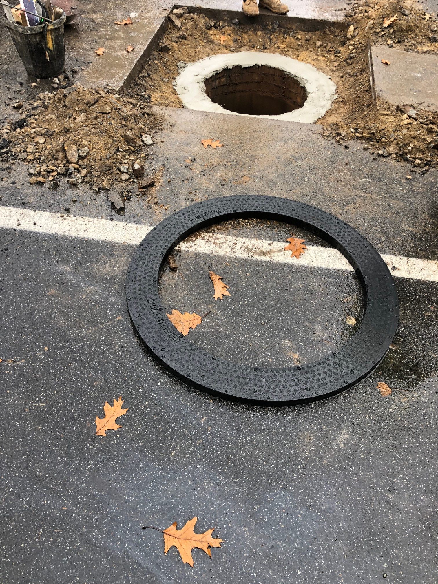 Pro-Ring™ Grade Rings - DL VEWS